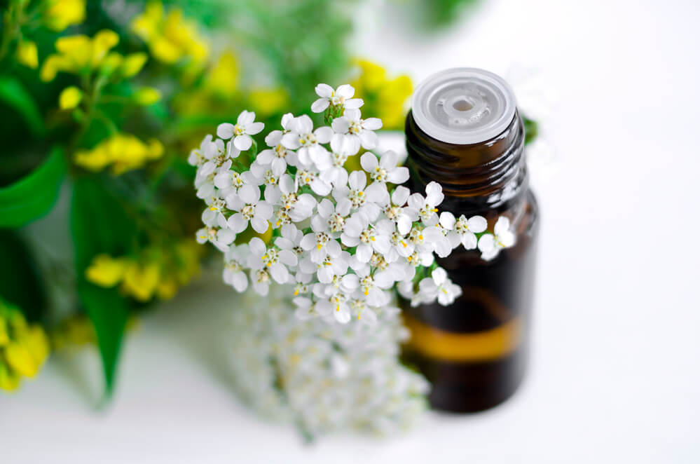 Benefits of Yarrow: Women's Herb and "Cure-All" – Euphoric Herbals