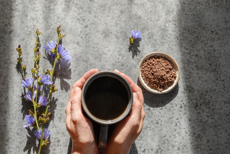 6 Benefits of Chicory Root + Chicory "Coffee" Recipe – Euphoric Herbals