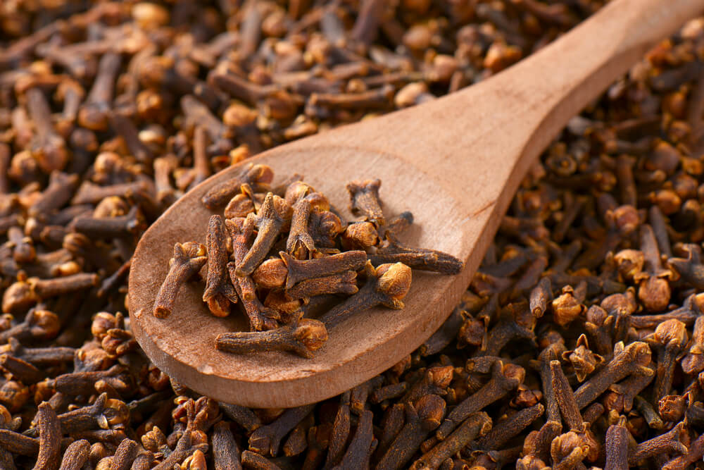 8 Fantastic Health Benefits of Cloves – Euphoric Herbals