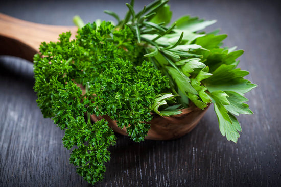 Top 6 Benefits of Parsley: Much More Than a Garnish – Euphoric Herbals