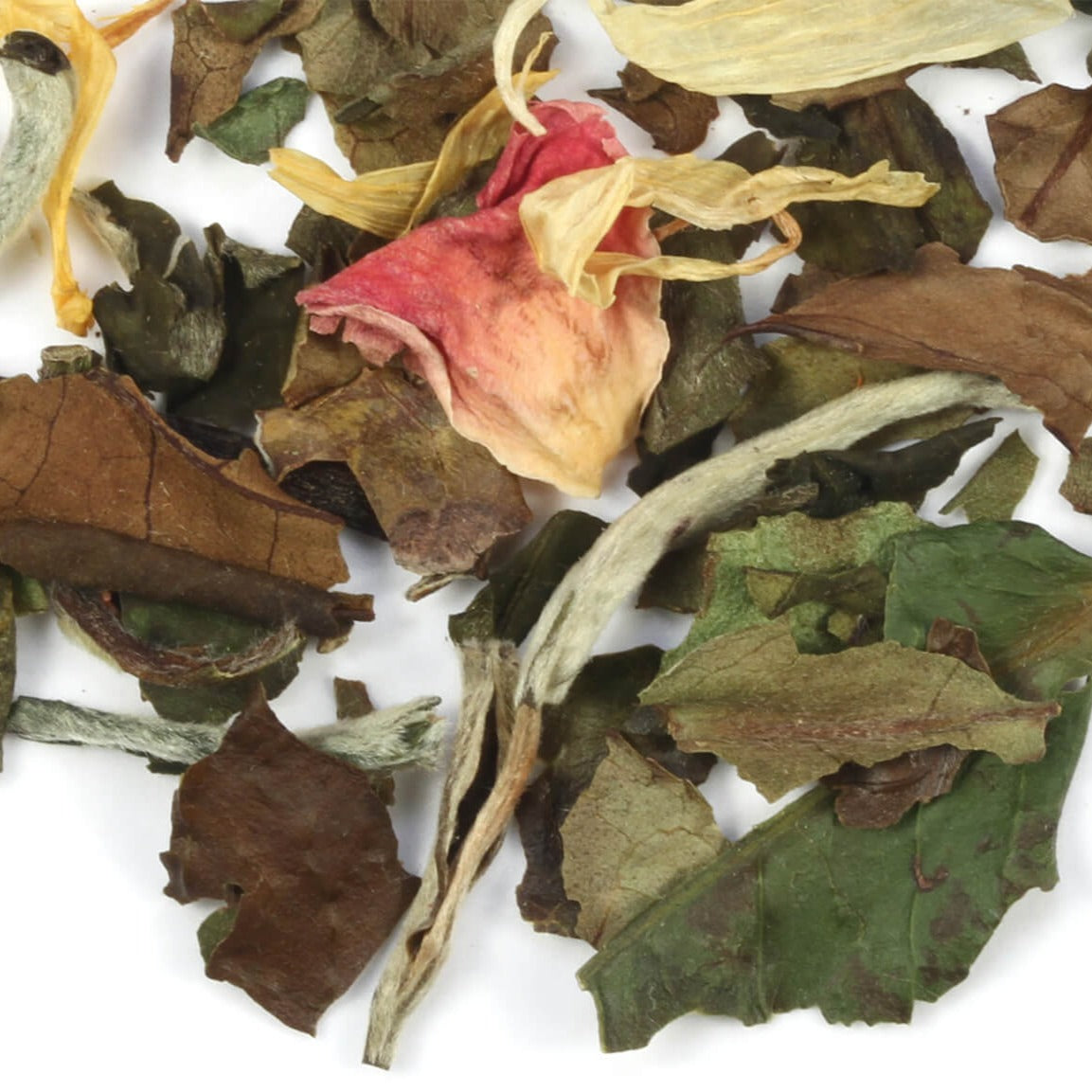 Buddha’s Dream Green Tea – Euphoric Herbals
