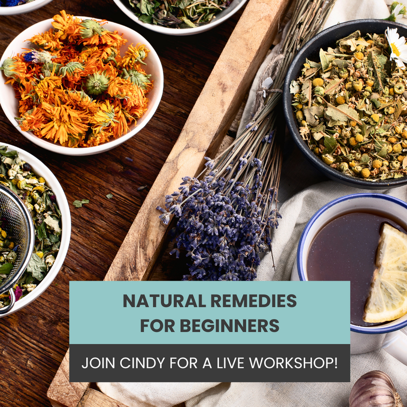 Herbal Products for the Whole Family – Euphoric Herbals